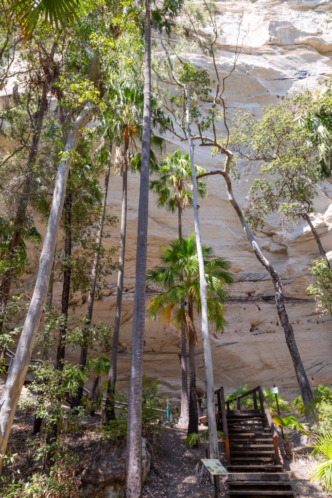 Carnarvon Gorge Cathedral Cave rock art site | Hiking the World