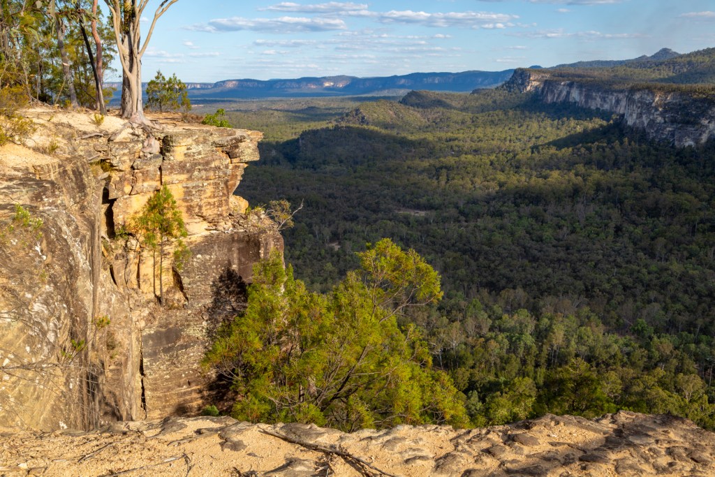 Boolimba Bluff - sweeping views from the Roof of Queensland | Hiking ...