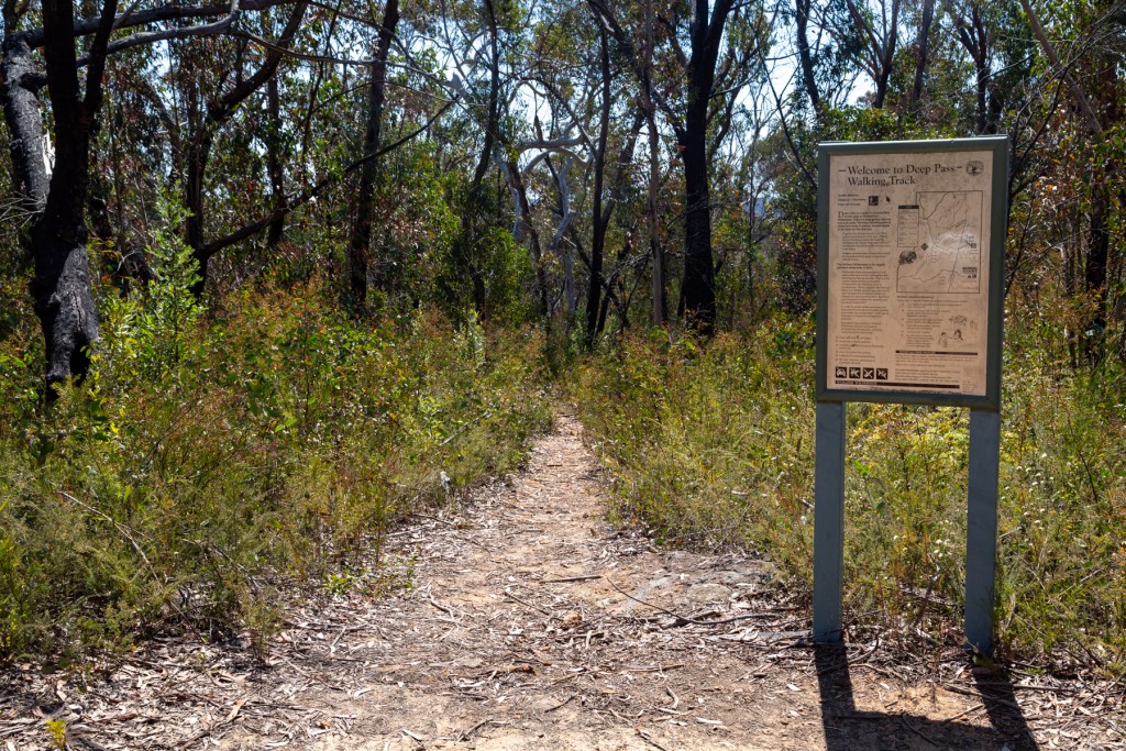 Deep Pass - a fun (and easy) Wollemi canyon | Hiking the World
