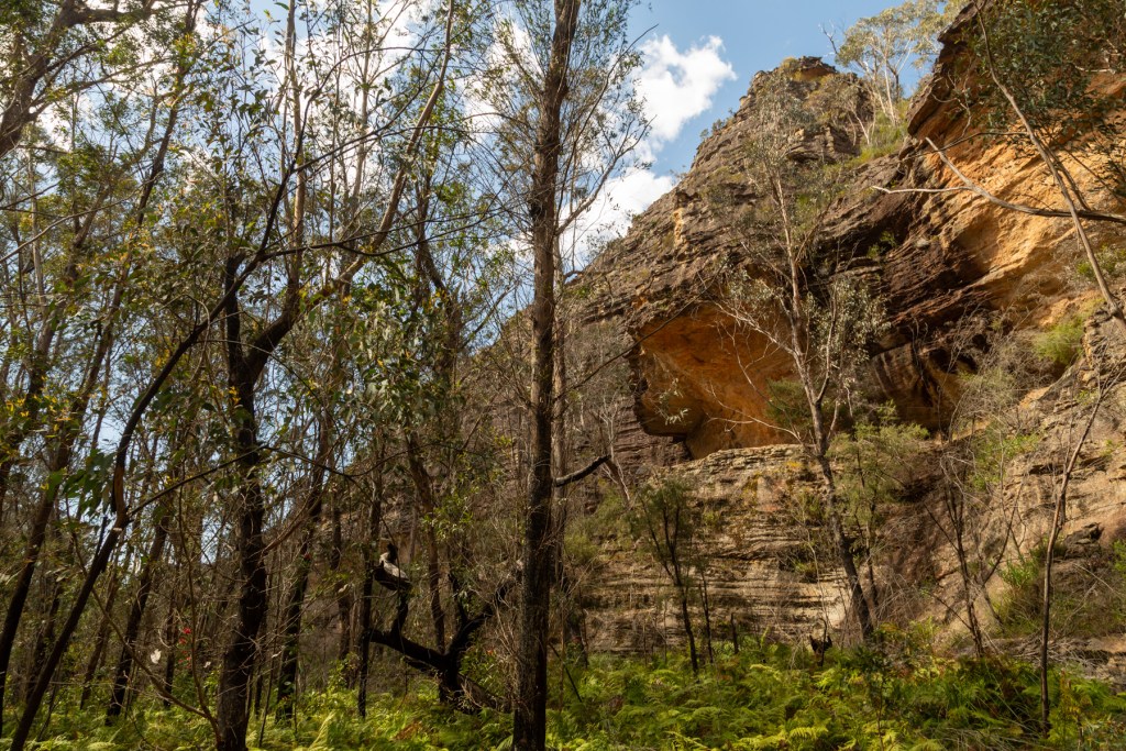 Deep Pass - a fun (and easy) Wollemi canyon | Hiking the World