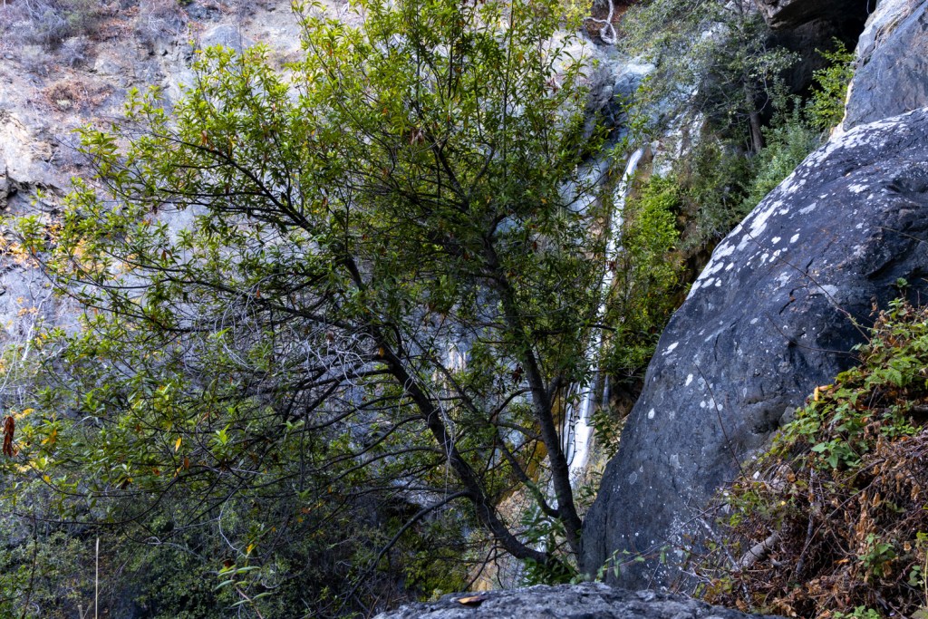 Salmon Creek Falls - a picturesque Big Sur waterfall | Hiking the World