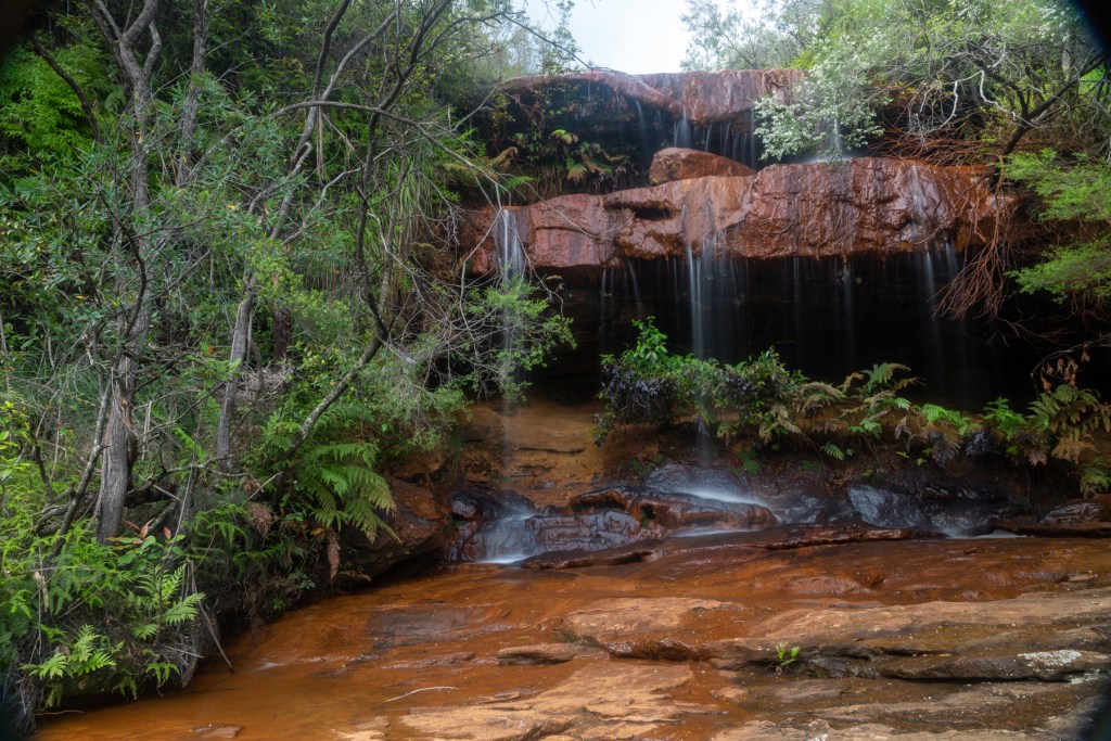 Fairy Falls - a picturesque Lawson waterfall | Hiking the World