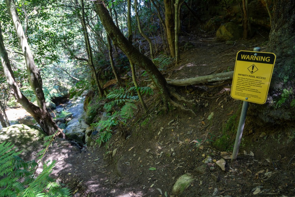 Leura Infinity Pool - a sewer outlet with a spectacular view | Hiking ...