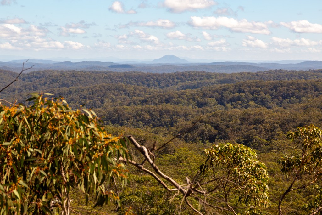 Mini Yengo Aboriginal rock art site | Hiking the World