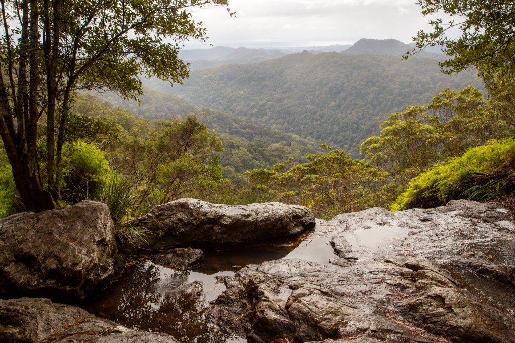 Warrie Circuit - a rainforest loop with eight picturesque waterfalls ...
