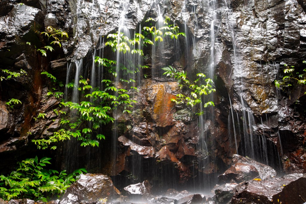 Poondahra Falls - a small waterfall along the Warrie Circuit | Hiking ...