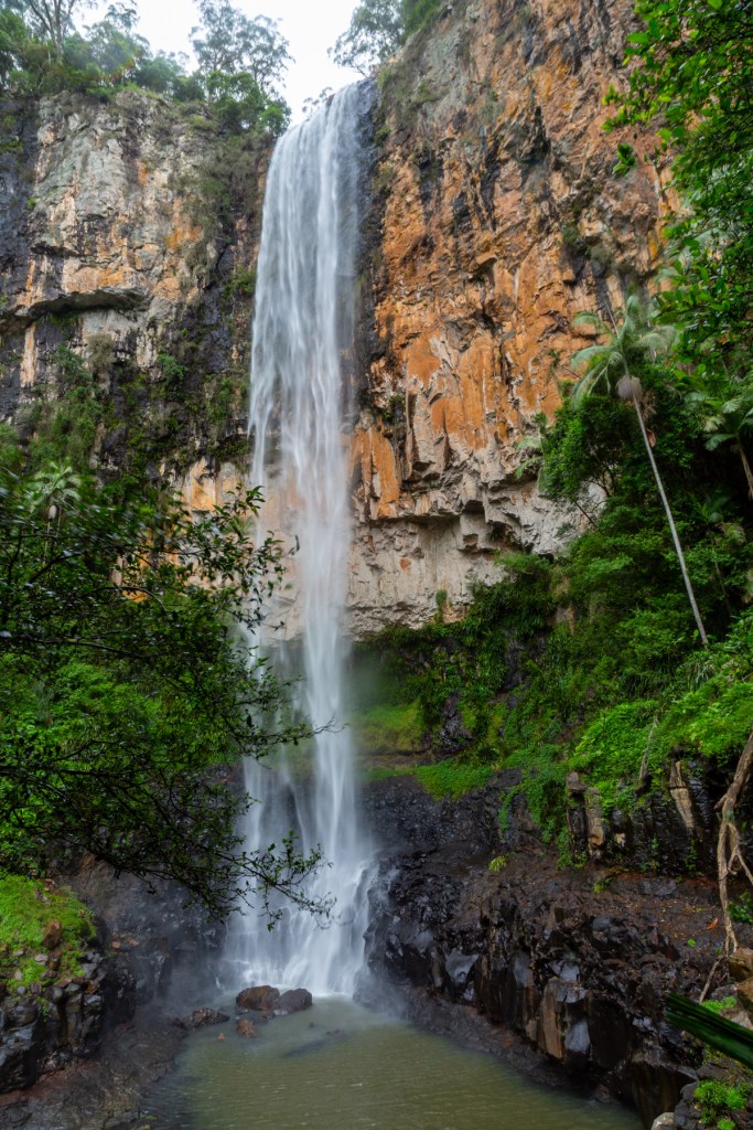 Purling Brook Falls - the tallest waterfall in Springbrook National ...