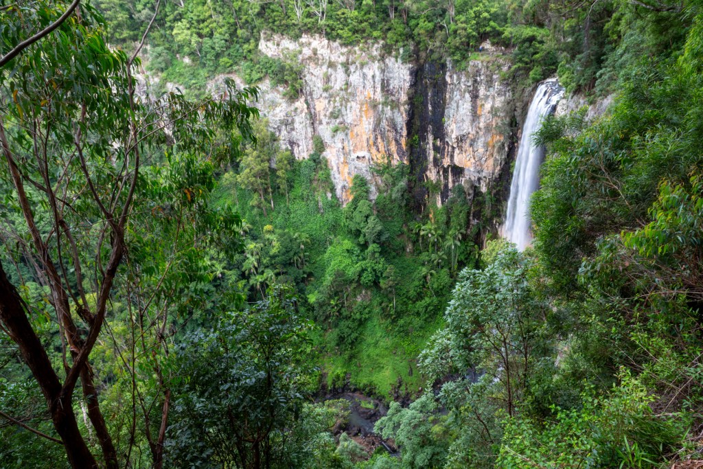 Purling Brook Falls - the tallest waterfall in Springbrook National ...