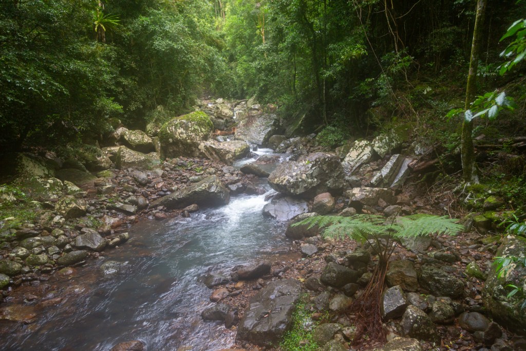 Natural Bridge Falls - the most spectacular Gold Coast waterfall ...
