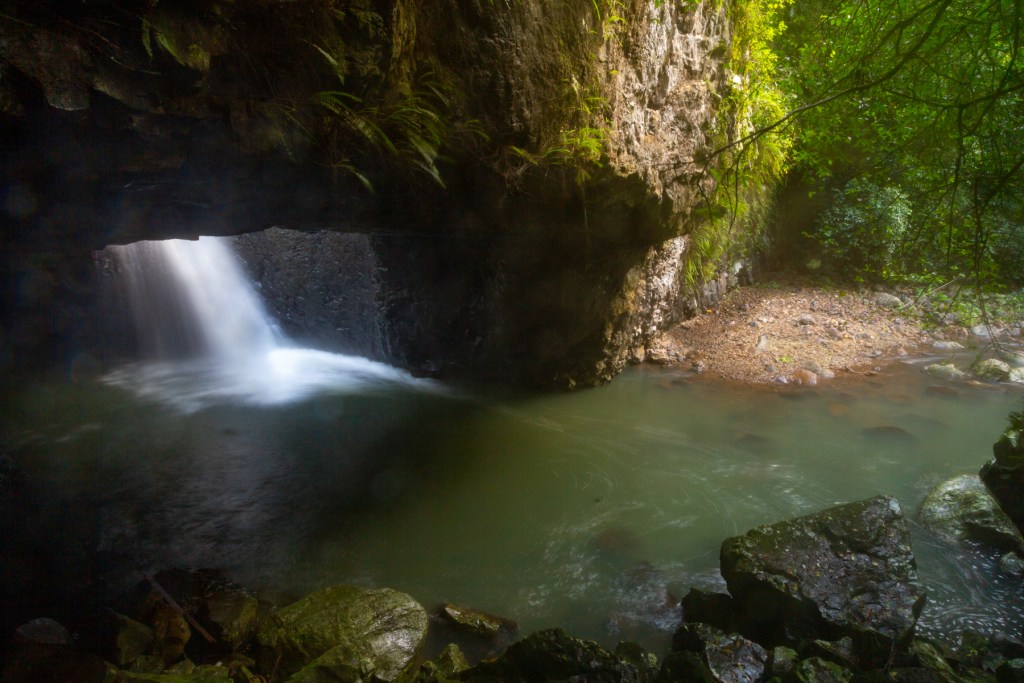 Natural Bridge Falls - the most spectacular Gold Coast waterfall ...