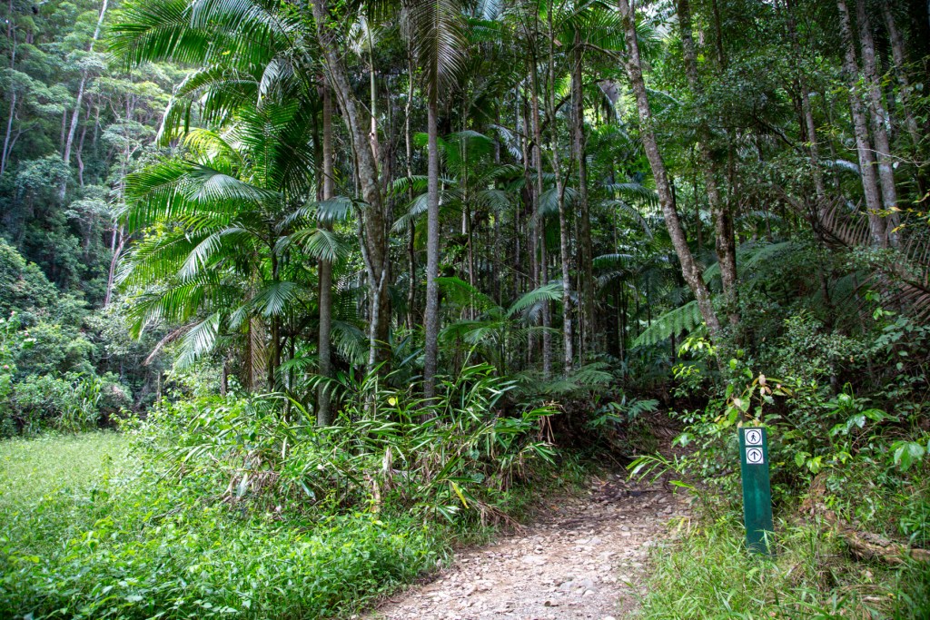 The historic Cream Track in the Tallebudgera Valley | Hiking the World