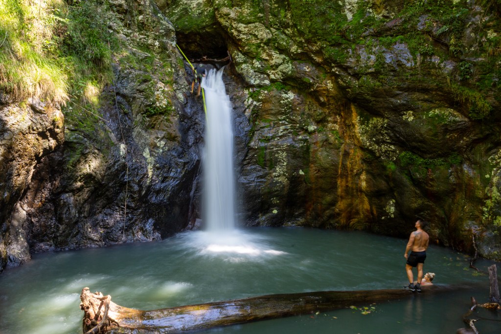 The historic Cream Track in the Tallebudgera Valley | Hiking the World