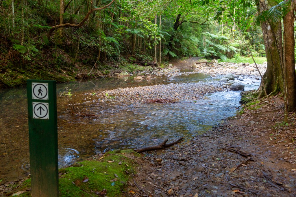 The historic Cream Track in the Tallebudgera Valley | Hiking the World