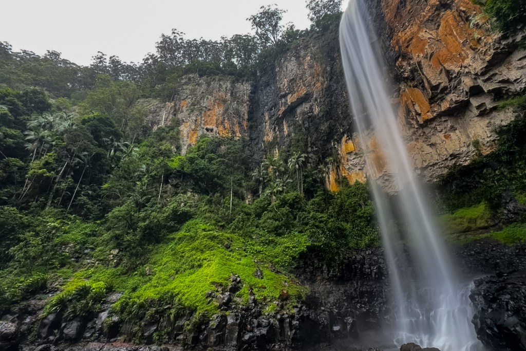 Purling Brook Falls - the tallest waterfall in Springbrook National ...