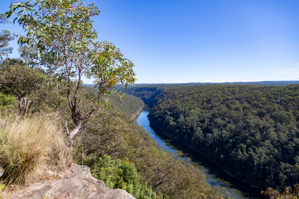 A series of Nepean River Lookouts along Rileys Mountain Track | Hiking ...