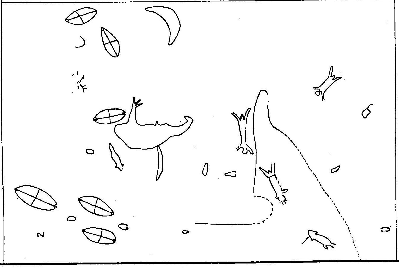 McLean St Emu Hunt | Hiking the World