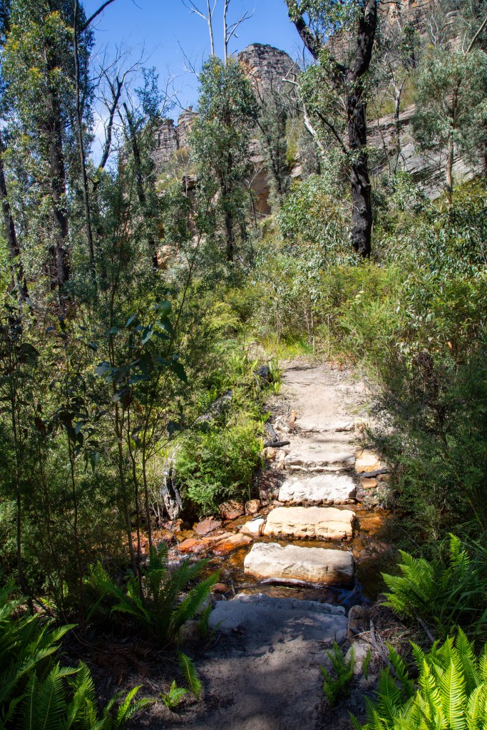 Lost City bushwalk - an easy introduction to the rugged Gardens of ...