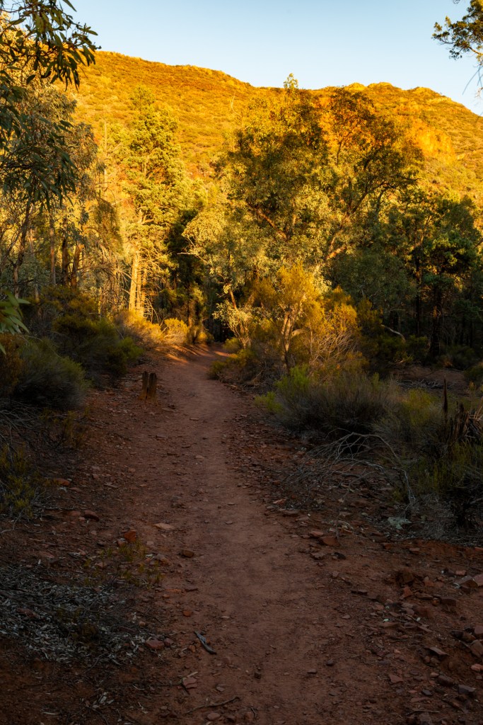 St Mary Peak - the best Flinders Ranges views | Hiking the World