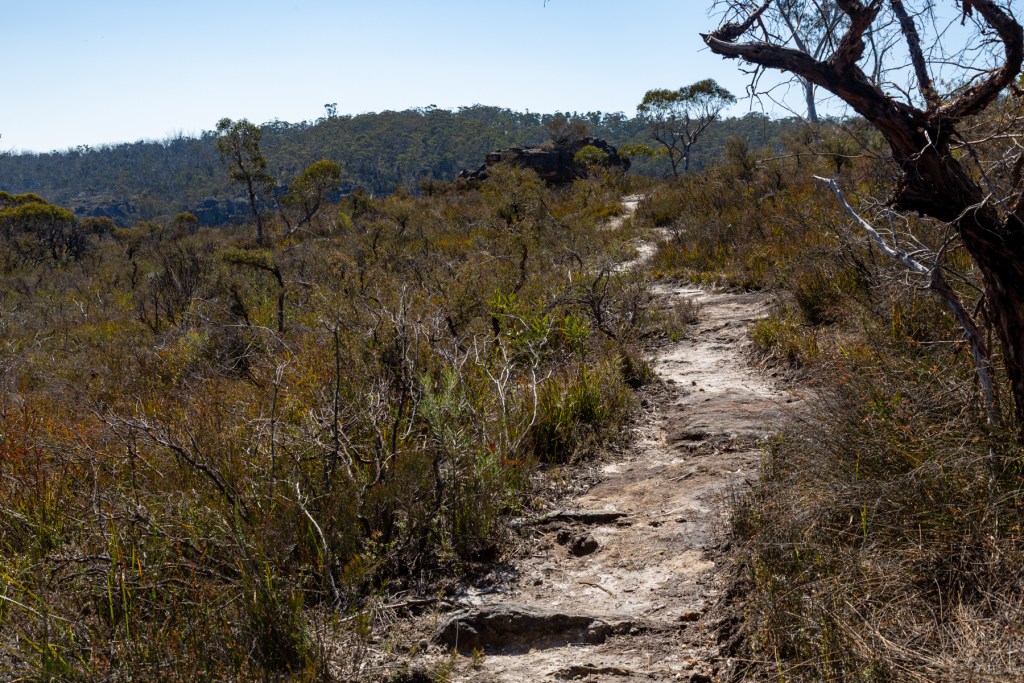 Pagodas and Views on the Broad Swamp to Birds Rock trail | Hiking the World