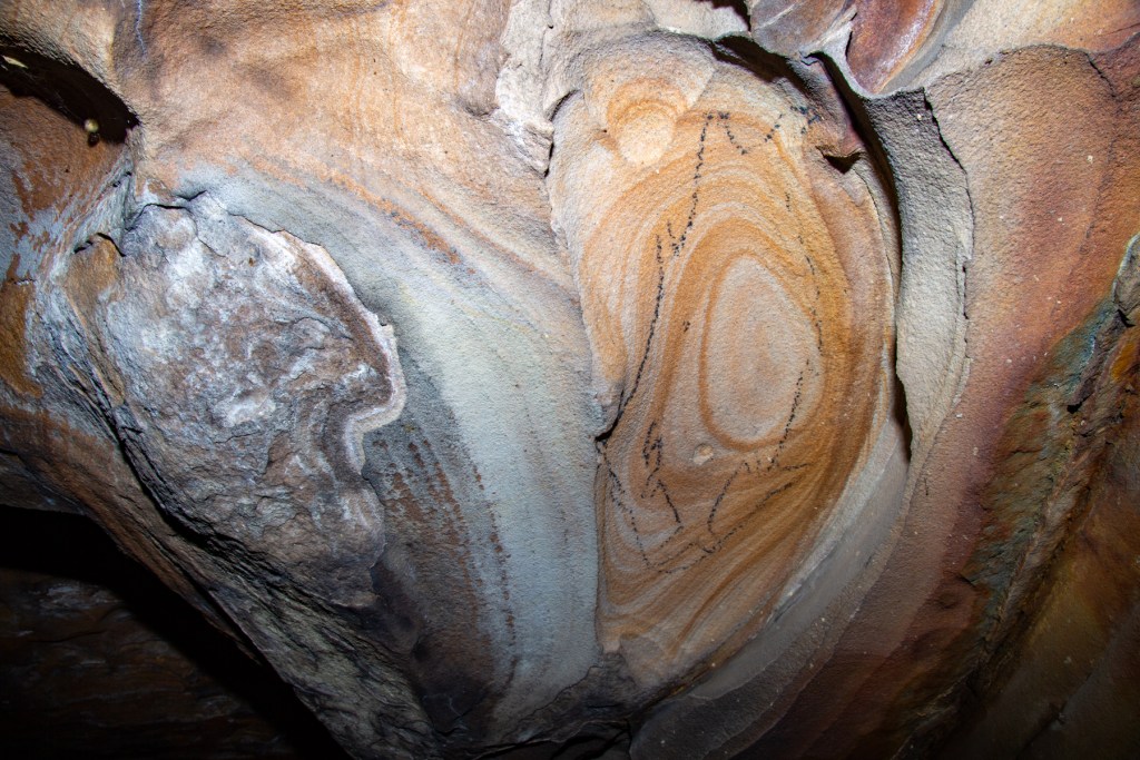 Sewer Pipe Fish Shelter Hiking The World