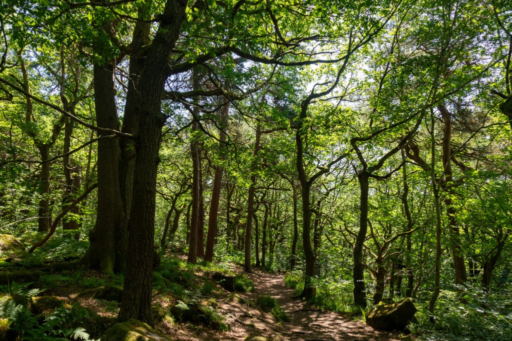 Padley Gorge - picturesque cascades and swimming holes | Hiking the World