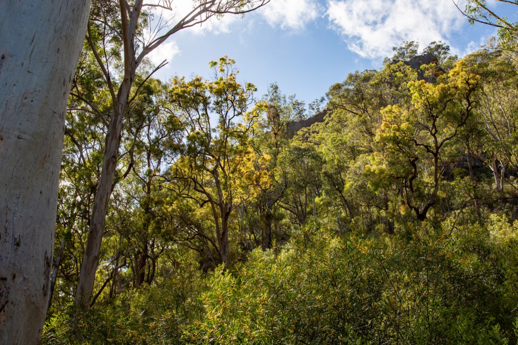 Panoramic views with a touch of thick scrub on the Constance Point loop ...