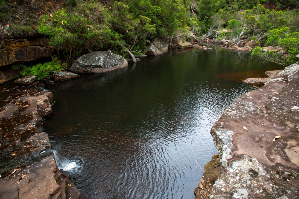 A wet adventure exploring O'Hares Creek from the 10D Trail | Hiking the ...