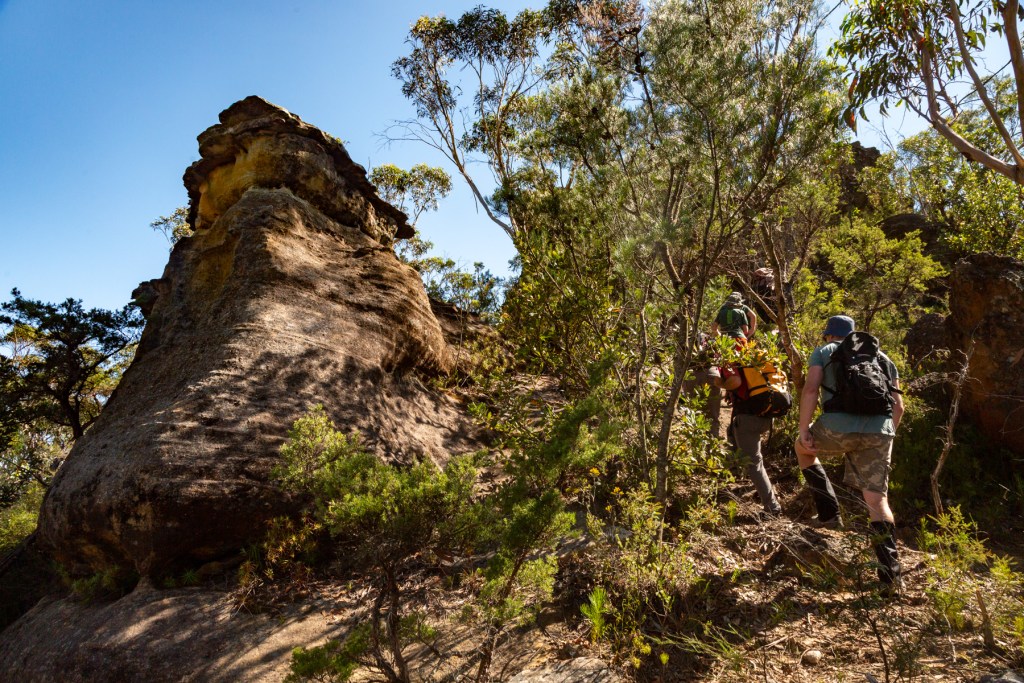 Joes Canyon and more: Four (awesome) Canyons in One Day | Hiking the World