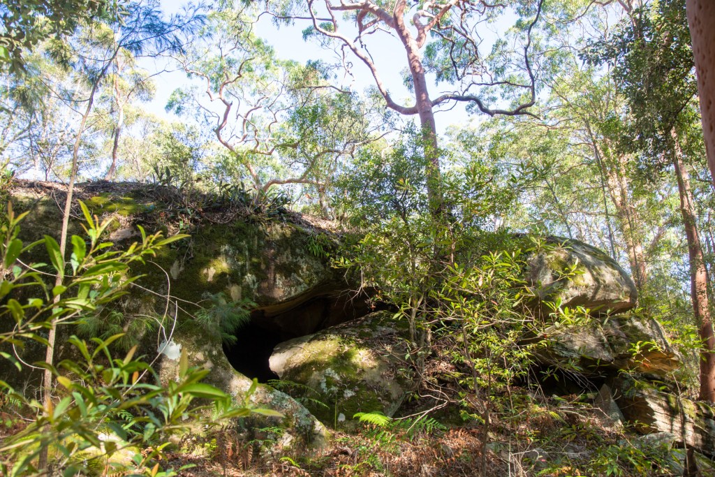 Ourimbah Funnel Web Shelter | Hiking the World