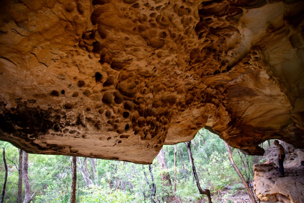 Gunderman Tall Ship Shelter | Hiking the World