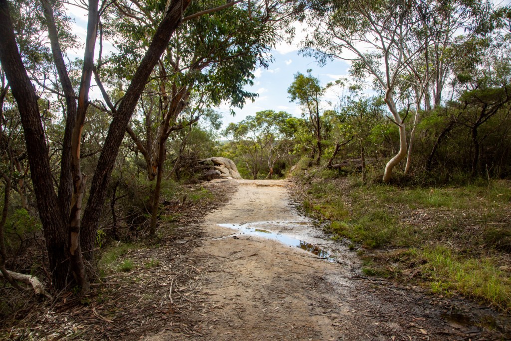 The under-rated and surprisingly pleasant Manly Dam loop | Hiking the World
